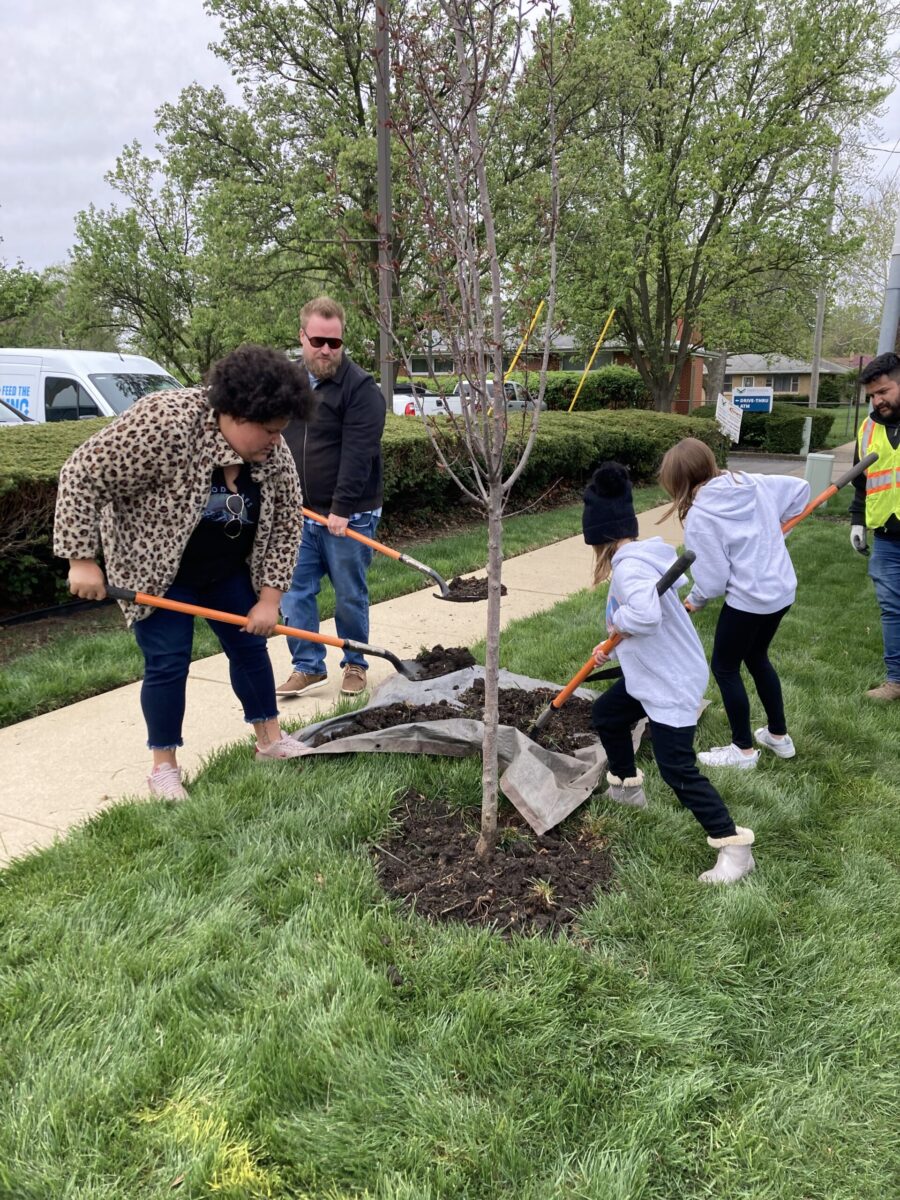 Earth Day Tree Planting - City of Champaign