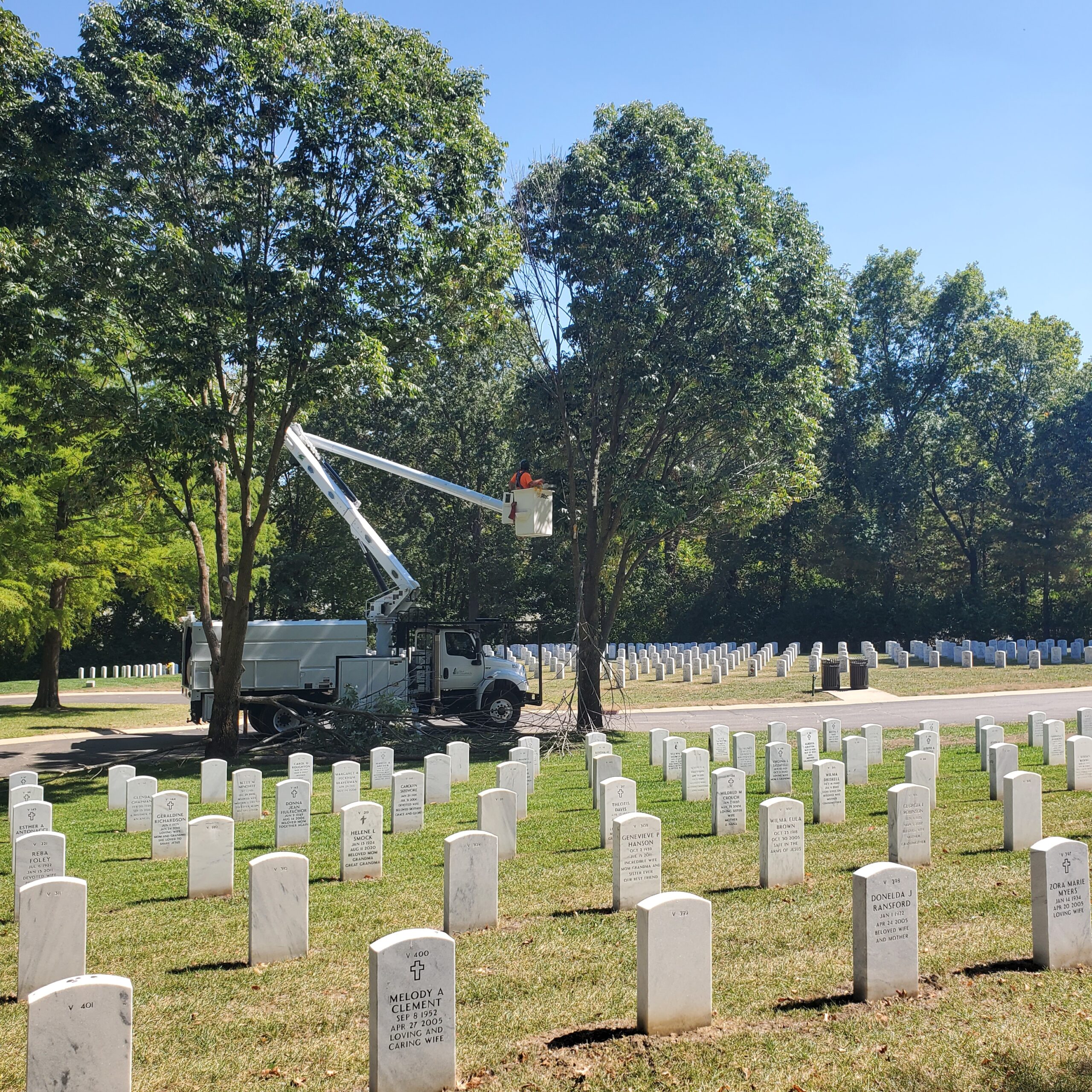 Saluting Branches: Honoring Veterans through Service - City of Champaign